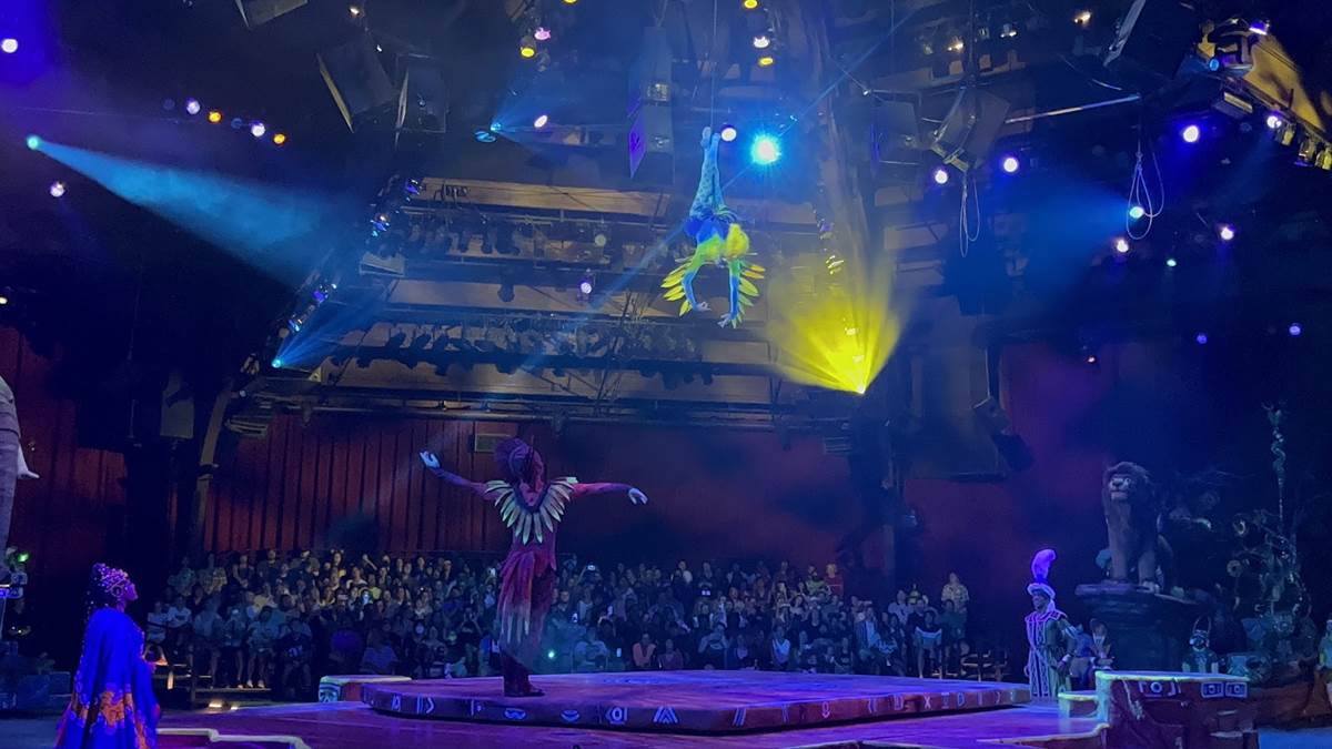 Photos/Video: Festival of the Lion King Full Show Returns, Complete ...