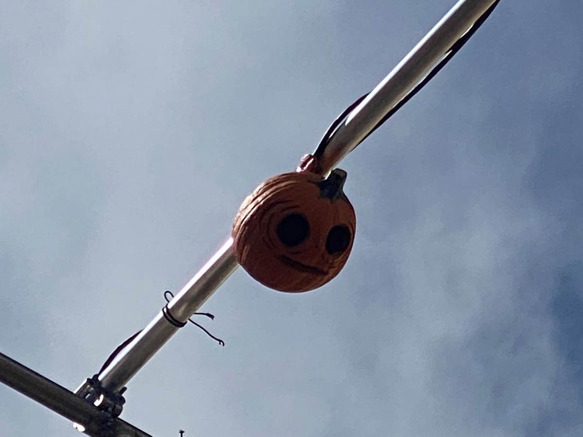 Photos: Halloween Horror Nights 31 Set-Up at Universal Studios Florida ...