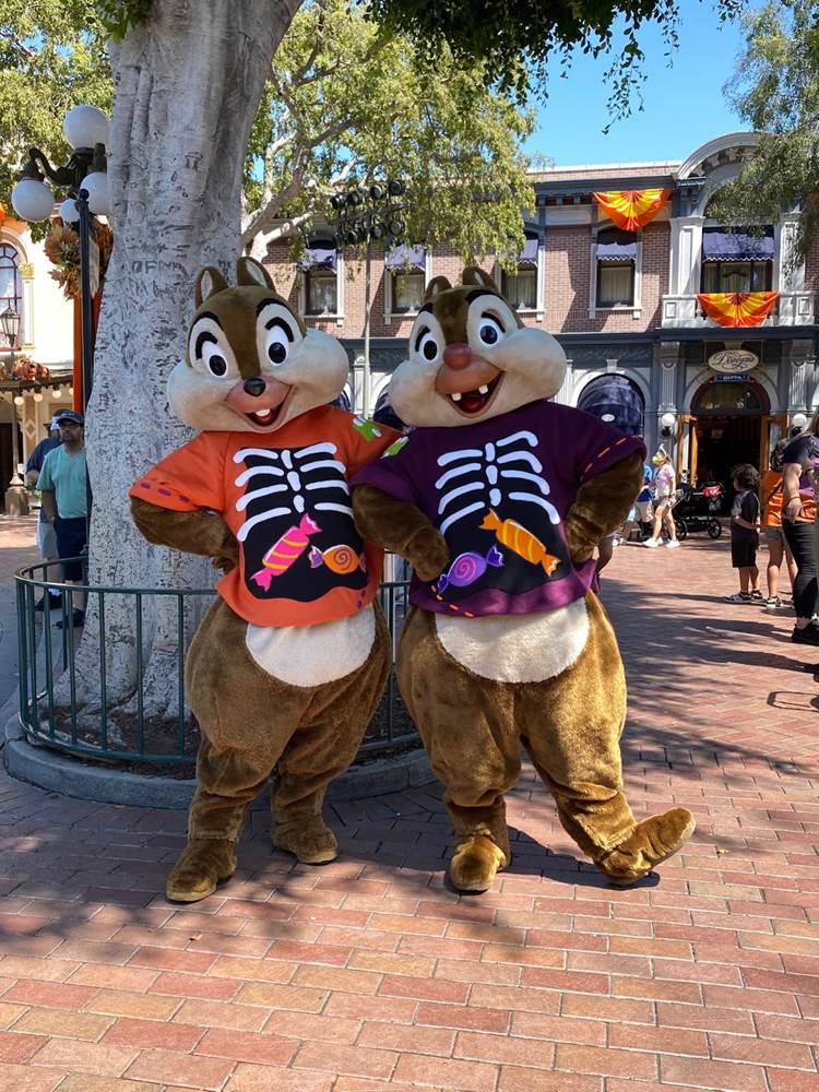 Photos: Mickey and Friends Debut New Halloween Costumes at Disneyland ...
