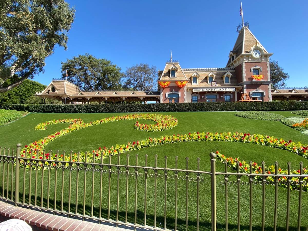 Photos: Synthetic Grass Installed at Disneyland's Floral Mickey Display ...