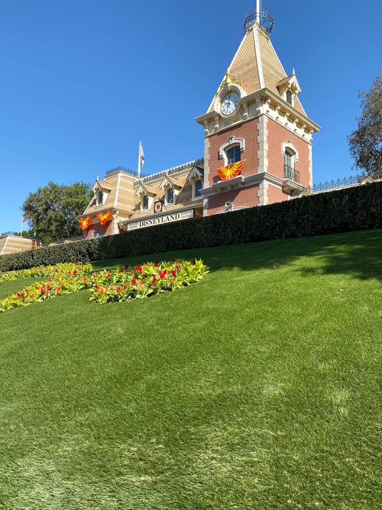 Photos: Synthetic Grass Installed at Disneyland's Floral Mickey Display ...