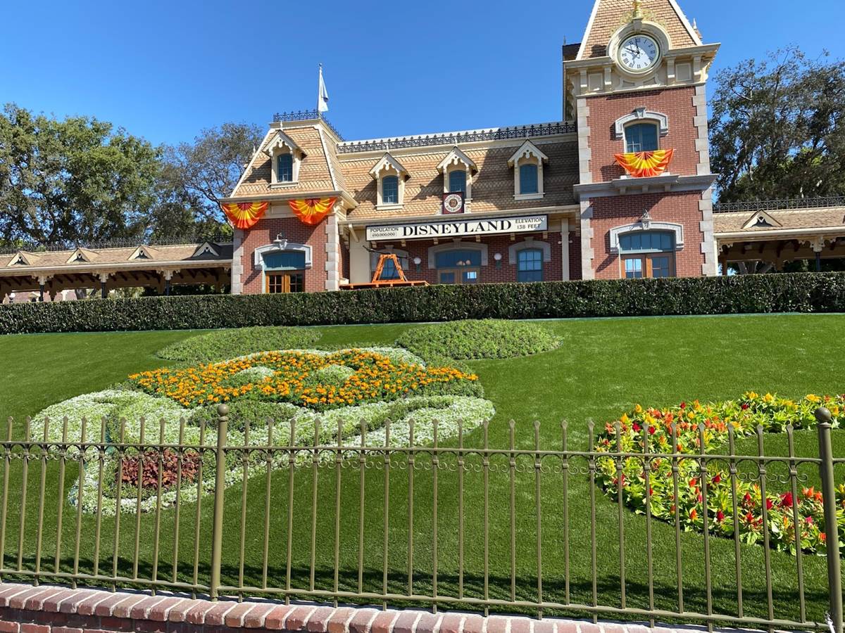 Photos: Synthetic Grass Installed at Disneyland's Floral Mickey Display ...