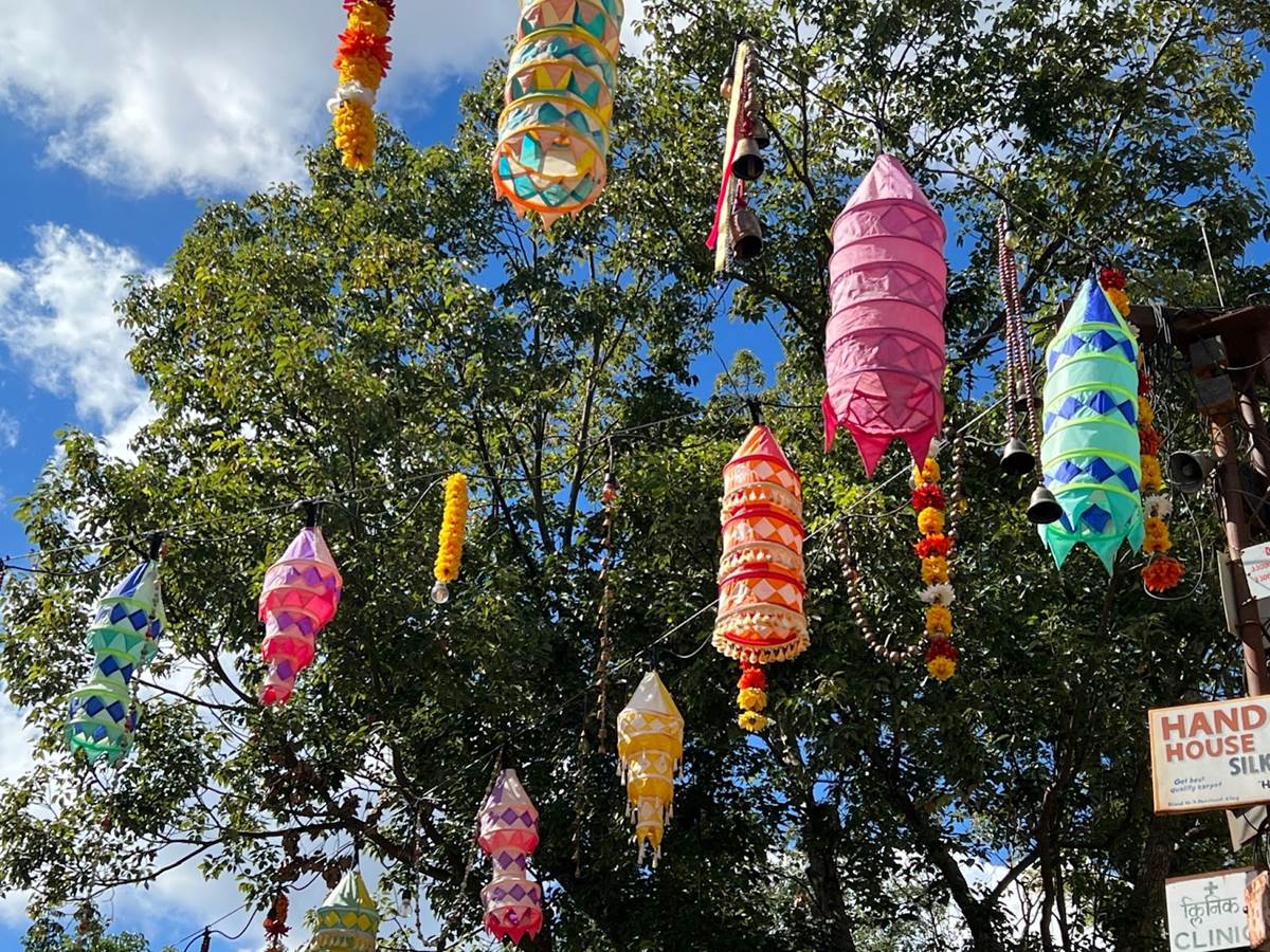 Photos: Asia Decorated for Diwali at Disney's Animal Kingdom ...