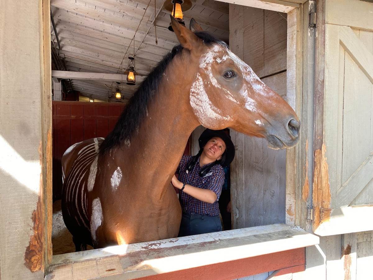 Photos / Video: Knott's Spooky Farm Returns with More Family-Friendly Frights for 2022 at Knott ...