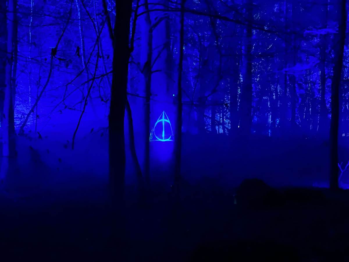 Photo Report - Harry Potter: A Forbidden Forest Experience in Leesburg ...