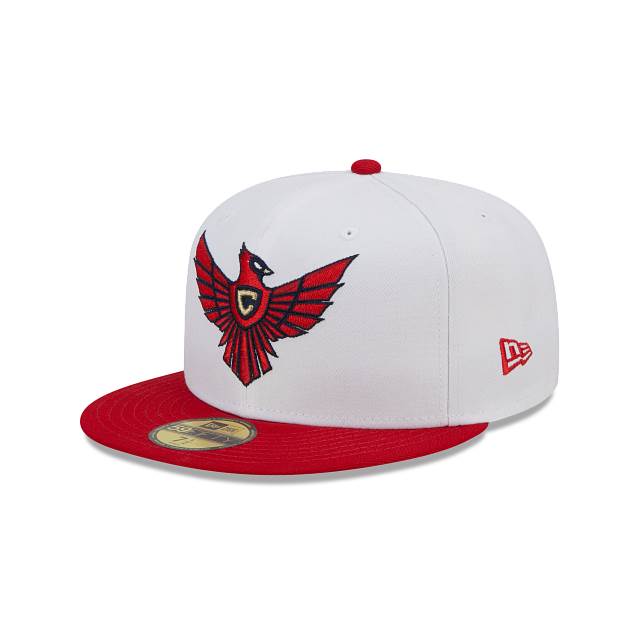 Minor League Baseball Mascots Get Marvel Upgrade on "Defenders of the ...