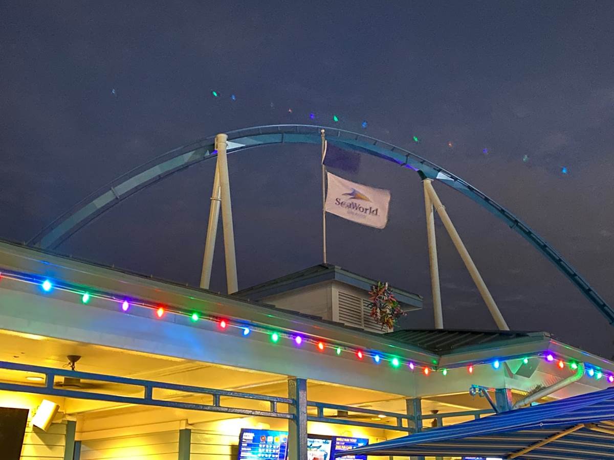 Photos – Pipeline: The Surf Coaster Goes Vertical at SeaWorld Orlando ...