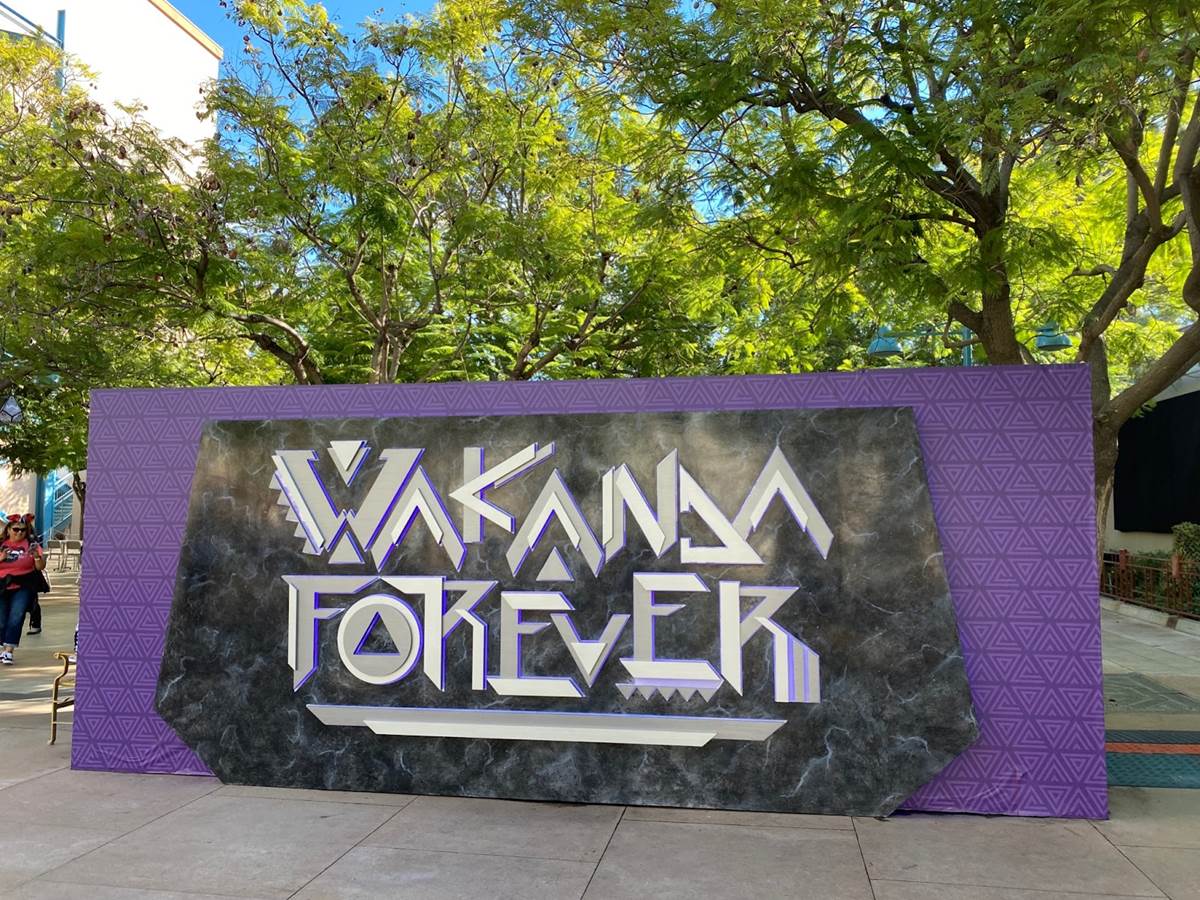 Photos/Video – Special "Black Panther: Wakanda Forever" Offerings Debut ...