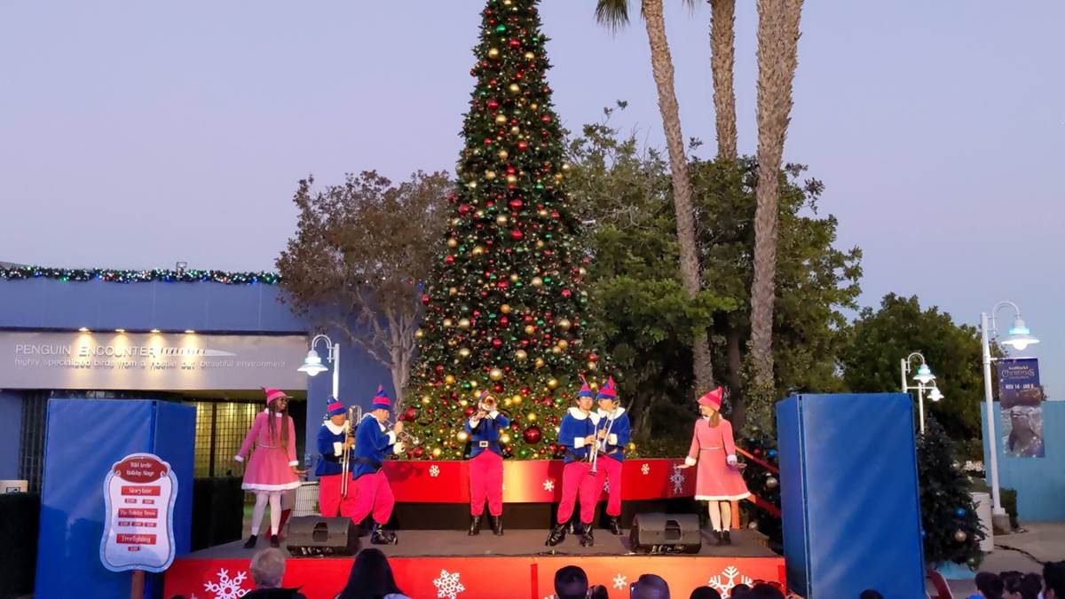 Photos/Videos: The Holidays Kick Off at SeaWorld San Diego's Christmas ...