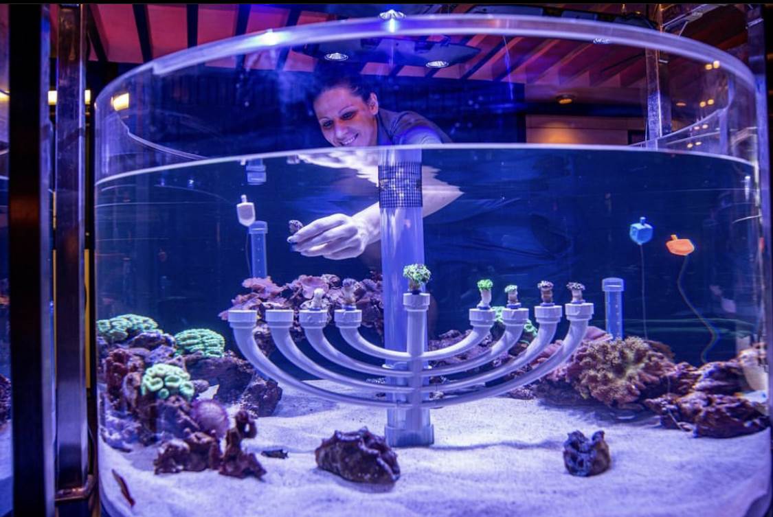 Festive Menorah Makes A Splash In The Seas With Nemo and Friends at EPCOT