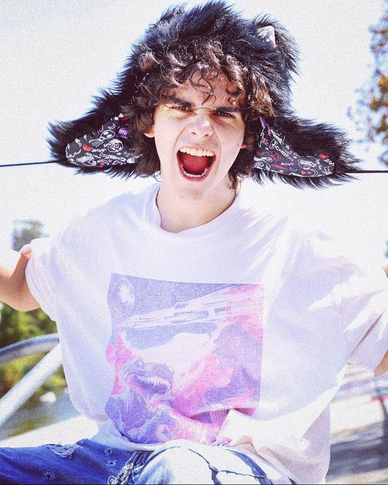 The Spiderwick Chronicles Cast