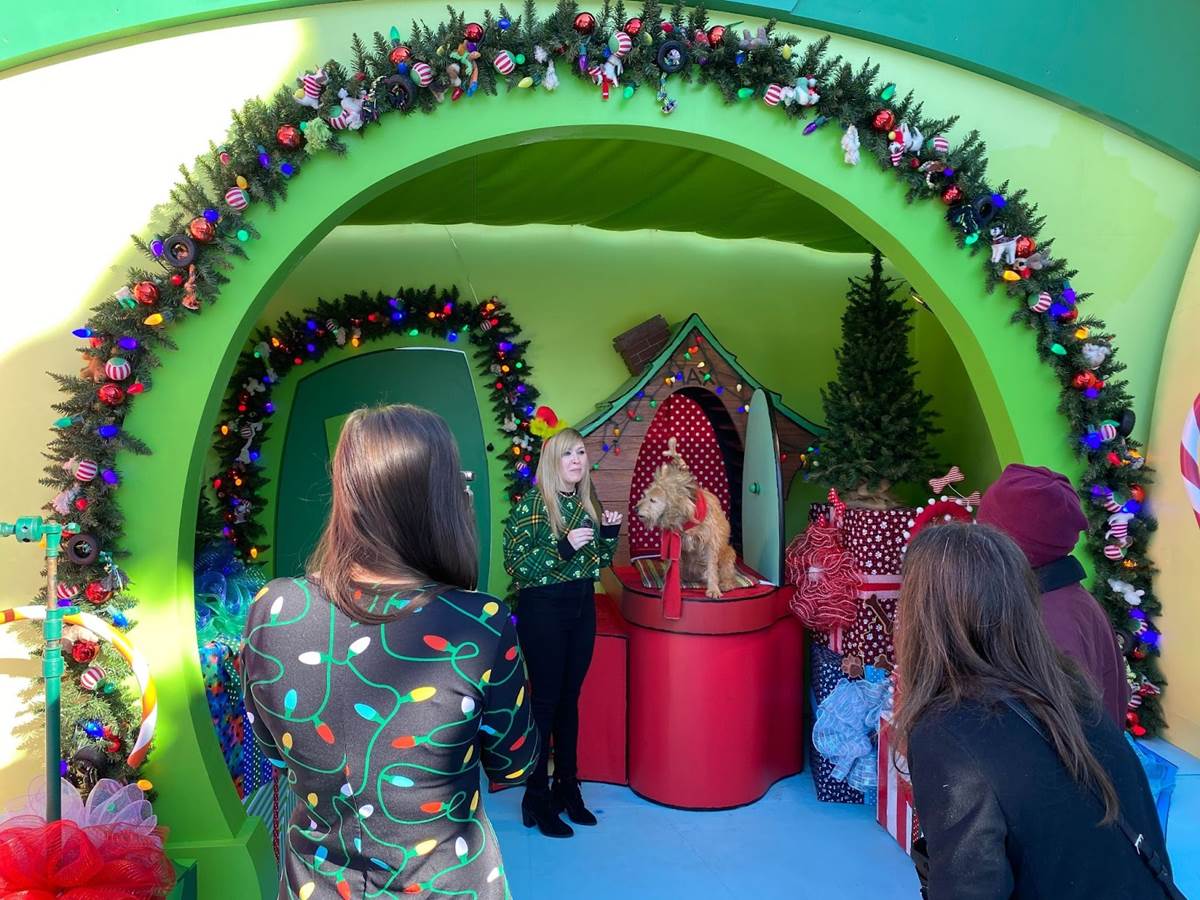 Video / Photos: Grinchmas 2022 Brings The Grinch, Whos, and Shows to ...