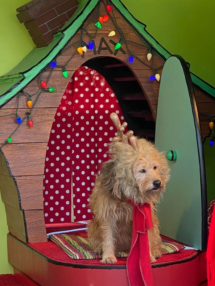 Video / Photos: Grinchmas 2022 Brings The Grinch, Whos, and Shows to ...