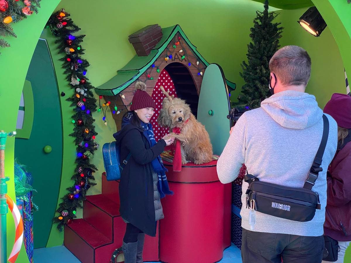 Video / Photos: Grinchmas 2022 Brings The Grinch, Whos, and Shows to ...