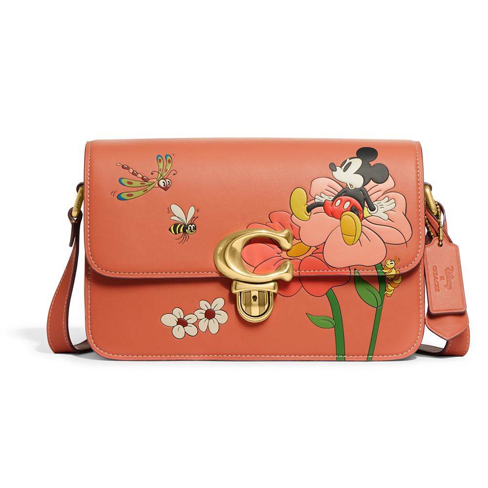 Disney100: Coach Launches New Disney100 Collection with Early Access ...