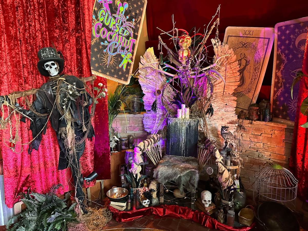 Photos / Video: The Cursed Coconut Club Keeps the Good Times Rolling on ...