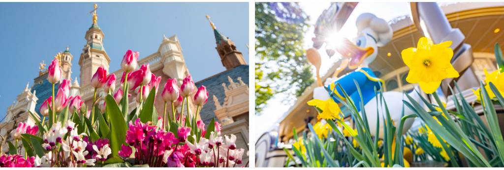 Spring Is In Bloom At Shanghai Disney Resort Starting March 1 ...