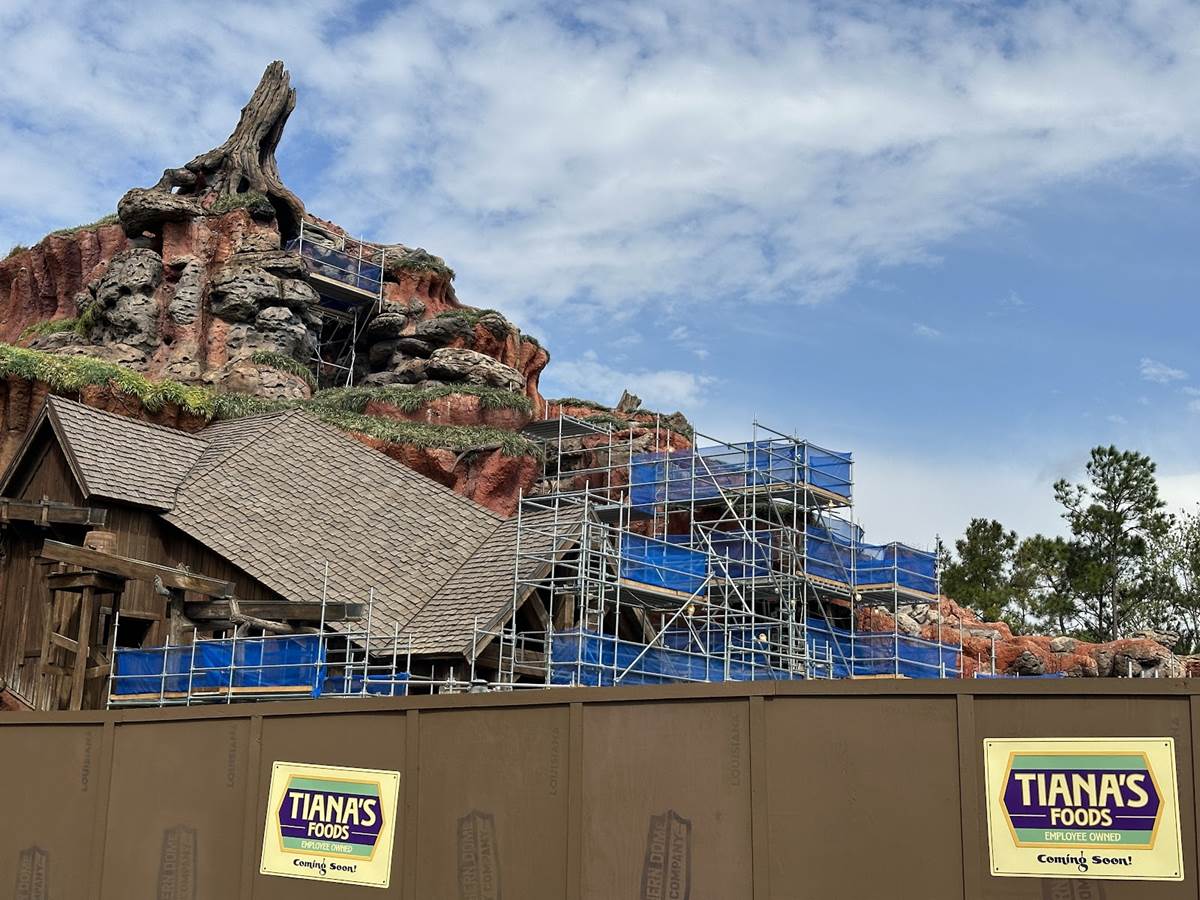 Photos: Construction Continues On Tiana's Bayou Adventure at Walt ...