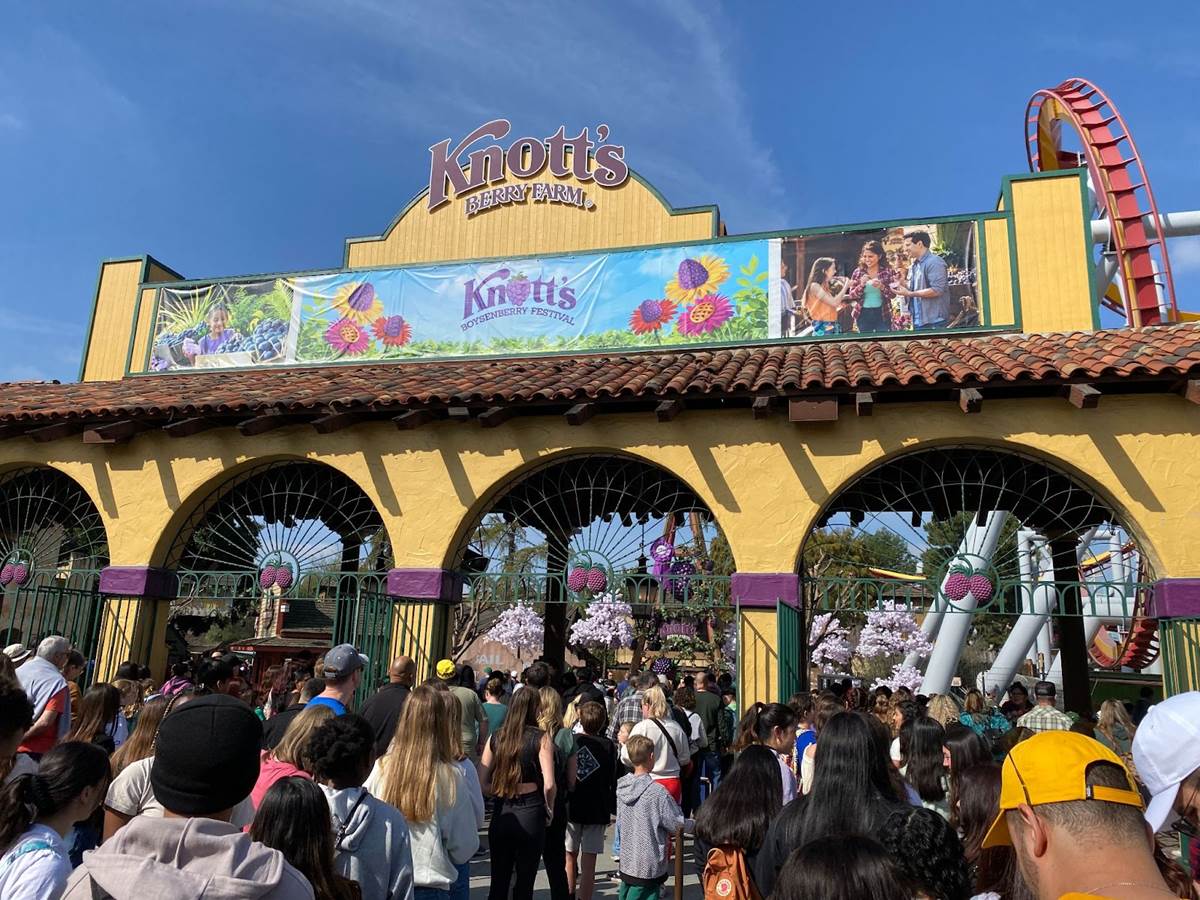 Photos / Video: Knott's Boysenberry Festival Returns for 2023 with Food ...