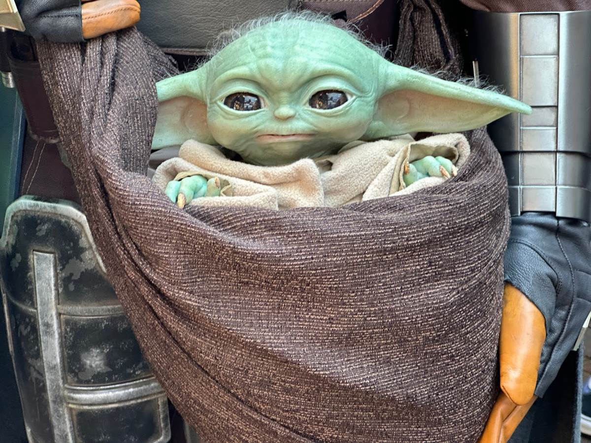 Photos / Video: The Mandalorian and Grogu Now Appearing at Disney's ...