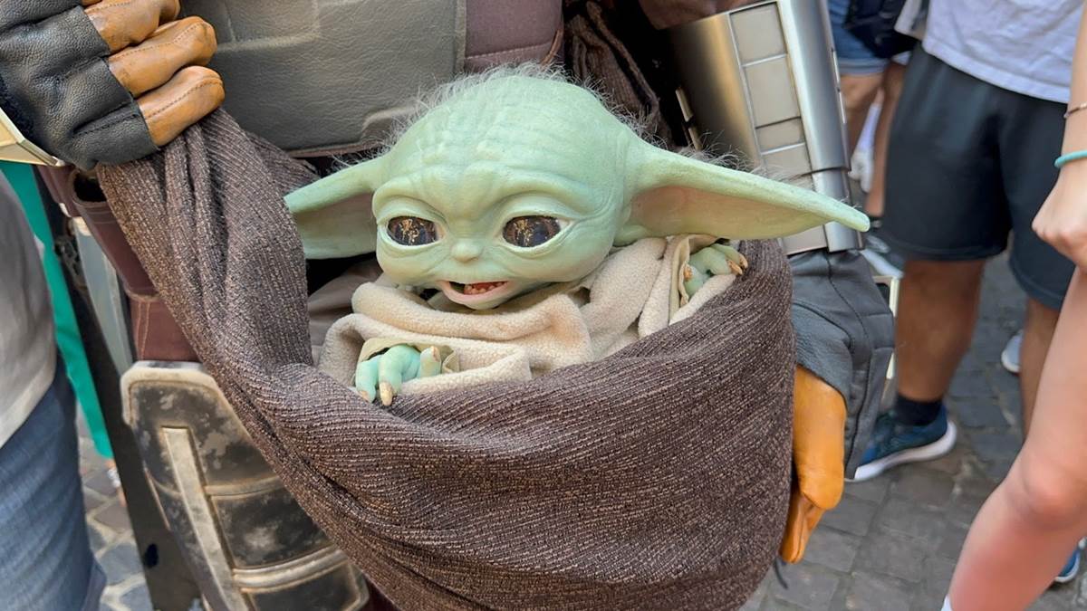 Photos / Video: The Mandalorian and Grogu Now Appearing at Disney's ...