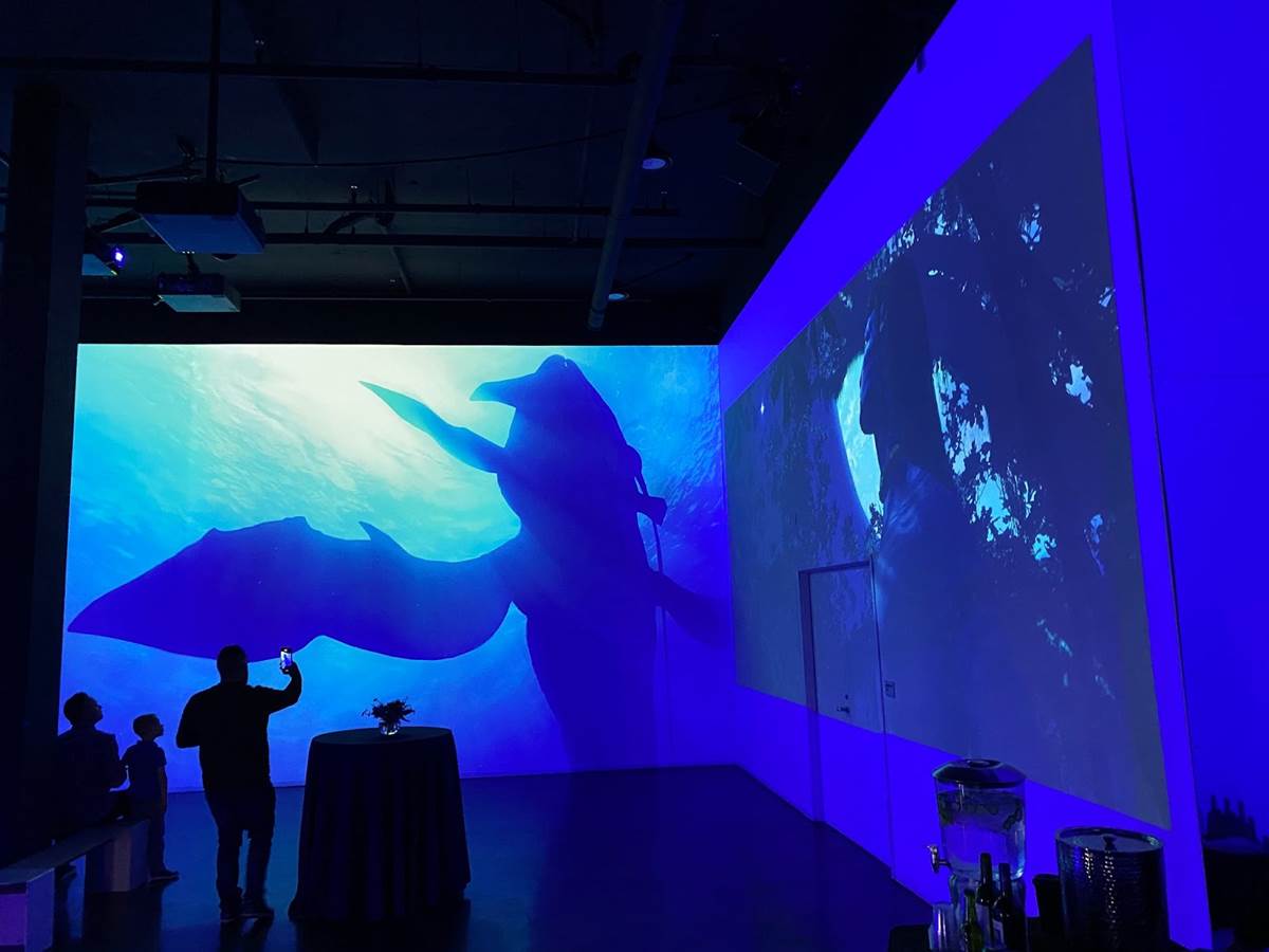 Event Preview - "The Art of Avatar: The Way of Water" Immersive ...
