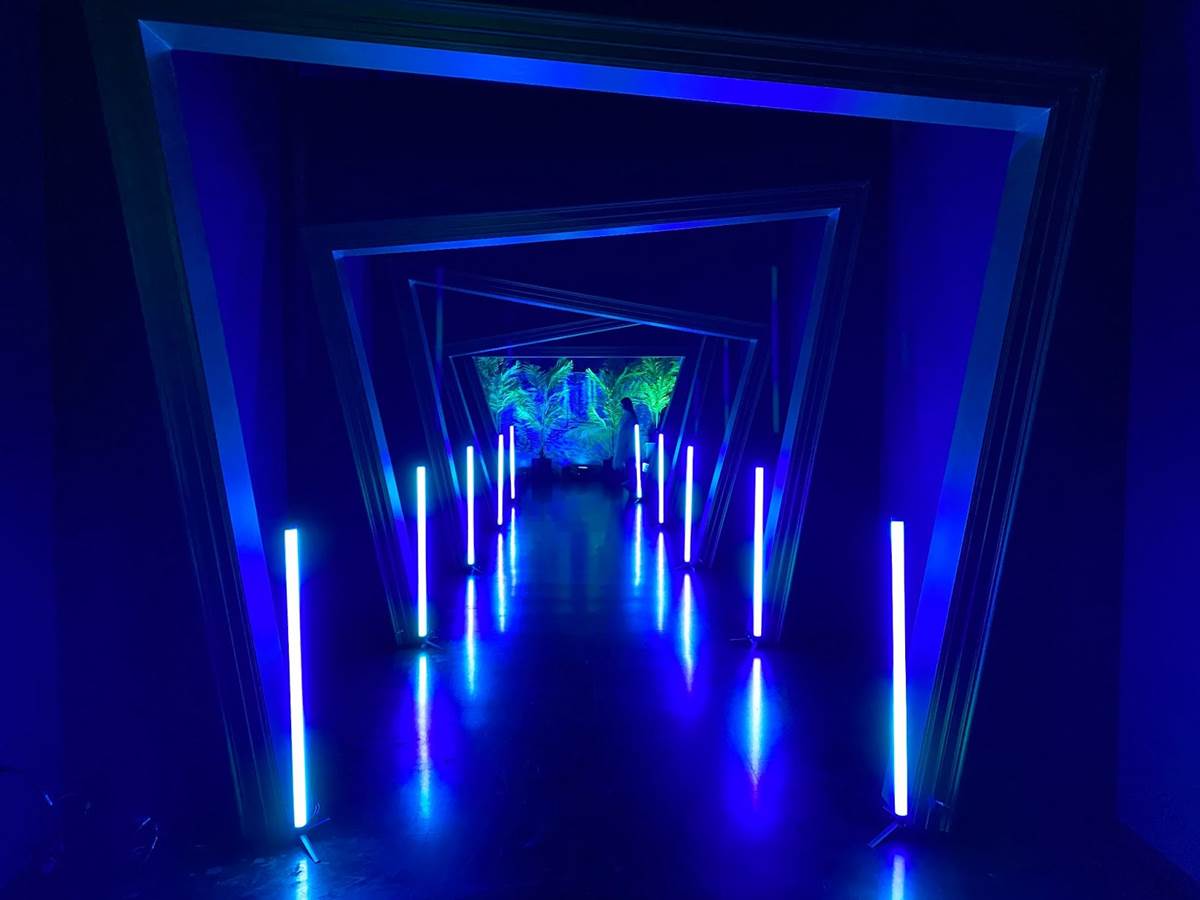 Event Preview - "The Art of Avatar: The Way of Water" Immersive ...