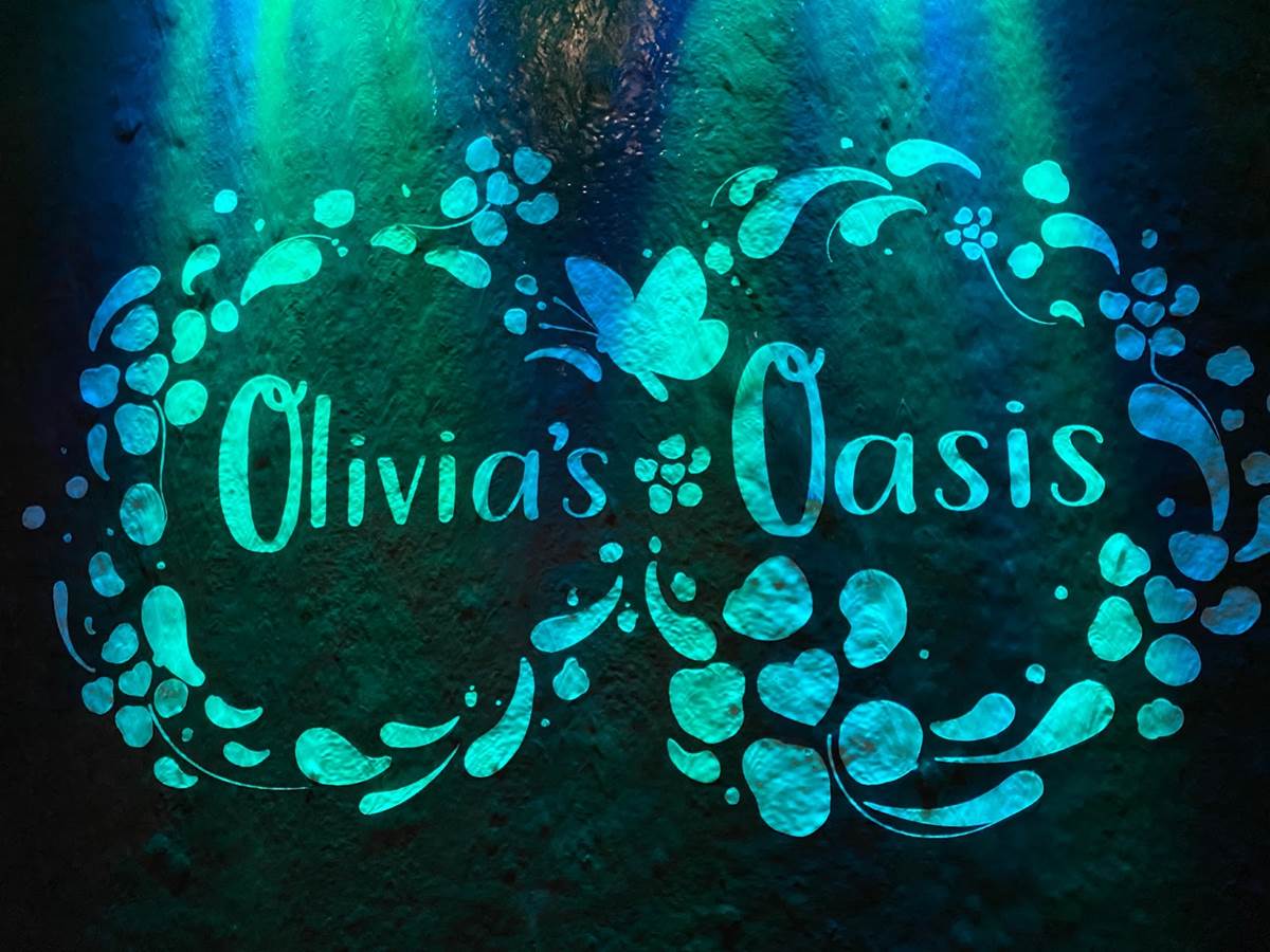 Olivia's Oasis Debuts At Give Kids The World Village - LaughingPlace.com