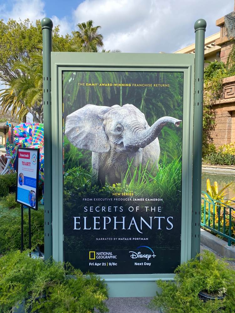 Photos: Colorful "Secrets of the Elephants" Display Installed in ...