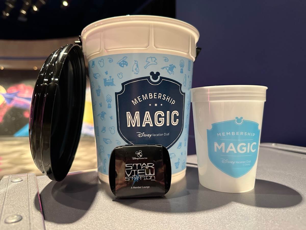 Photos / Video: Star View Station Disney Vacation Club Member Lounge ...
