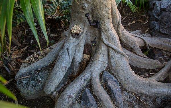 The Top Disney Trees - LaughingPlace.com