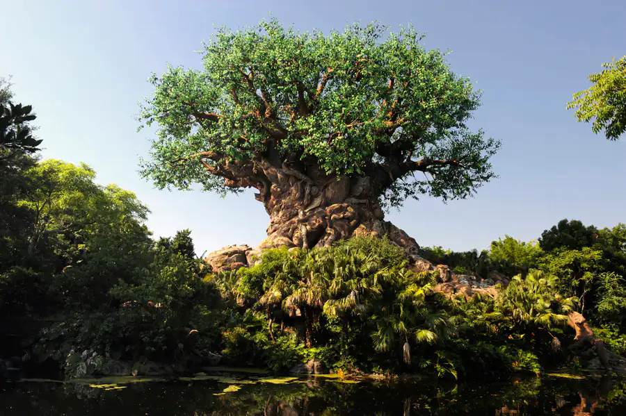 The Top Disney Trees - LaughingPlace.com
