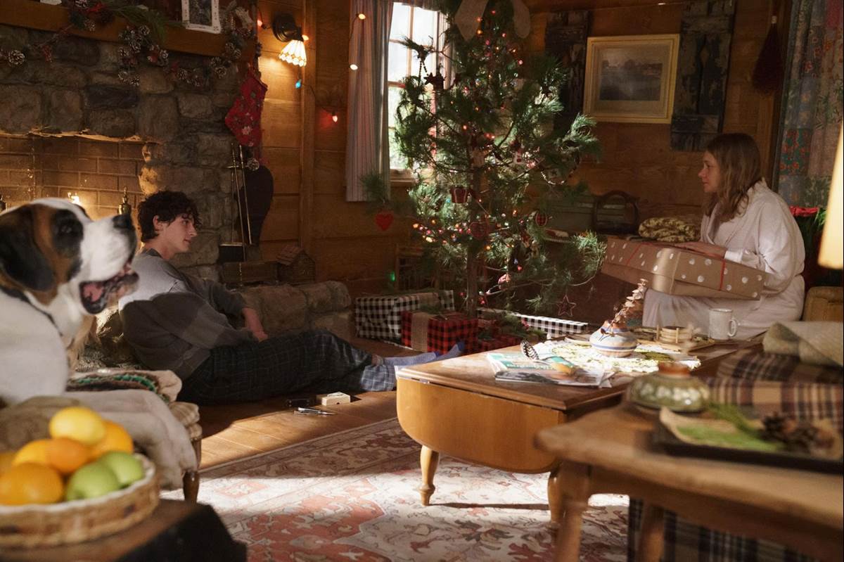 TV Review: "Tiny Beautiful Things" Offers Kathryn Hahn a Chance to Soar ...