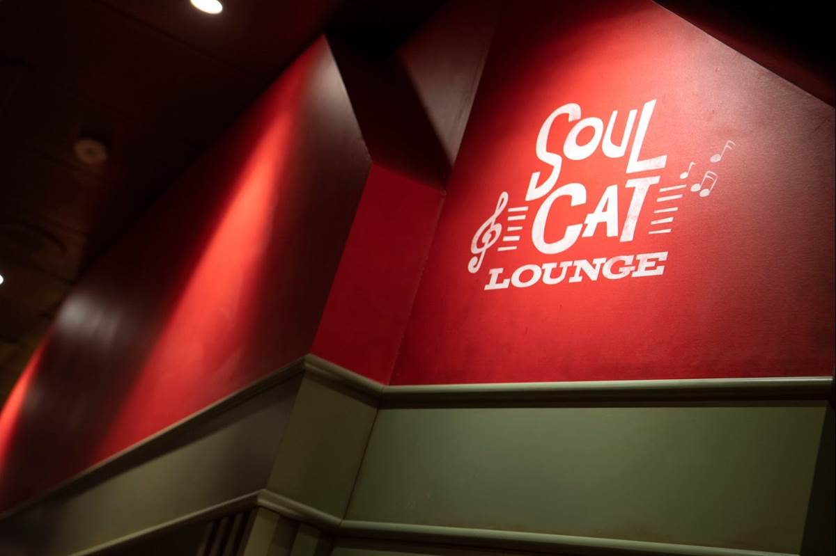 "An Encanto Celebration," Soul Cat Lounge and More Enhancements Come to ...