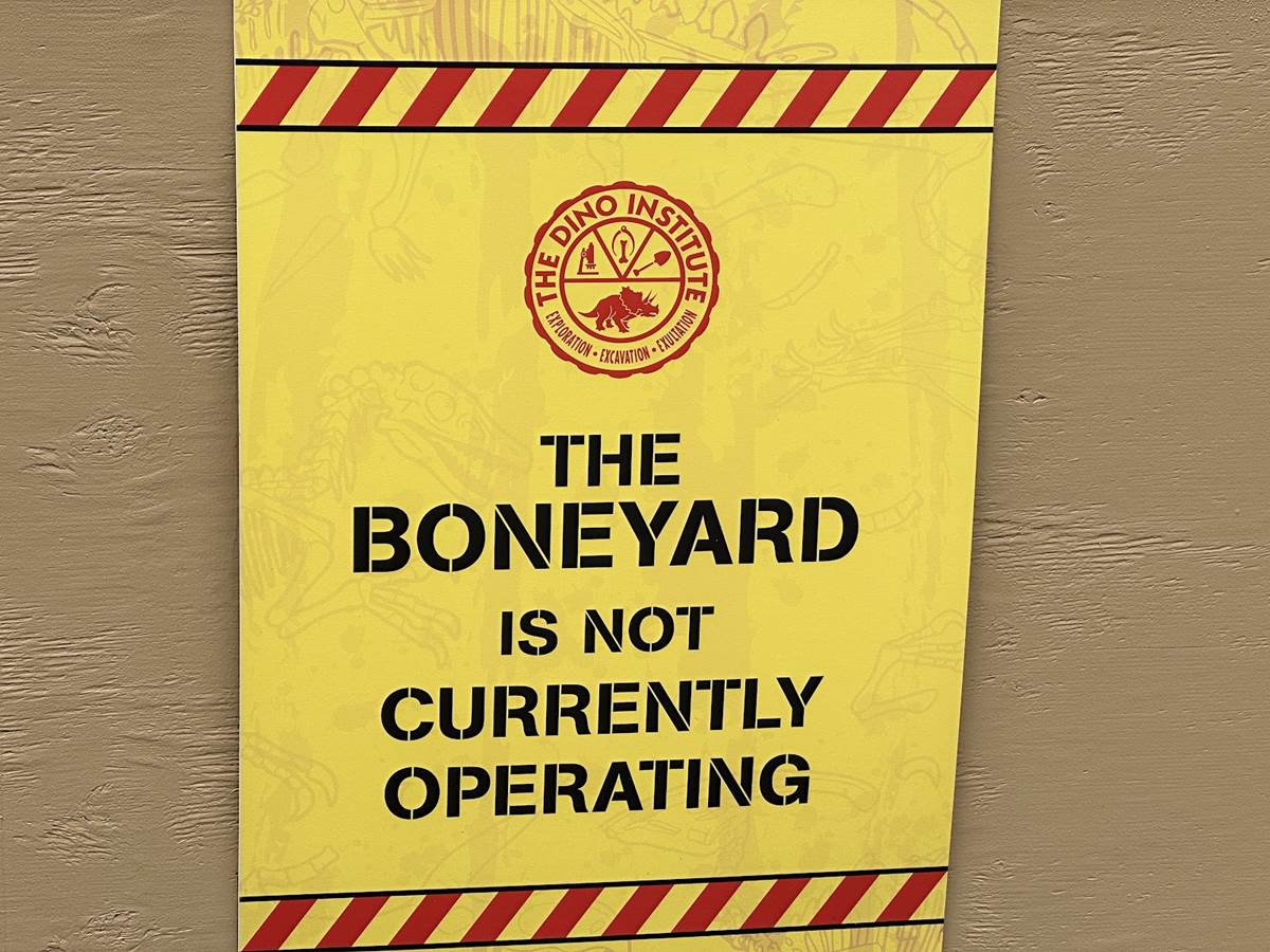 Photos: The Boneyard at Disney's Animal Kingdom Closes For ...