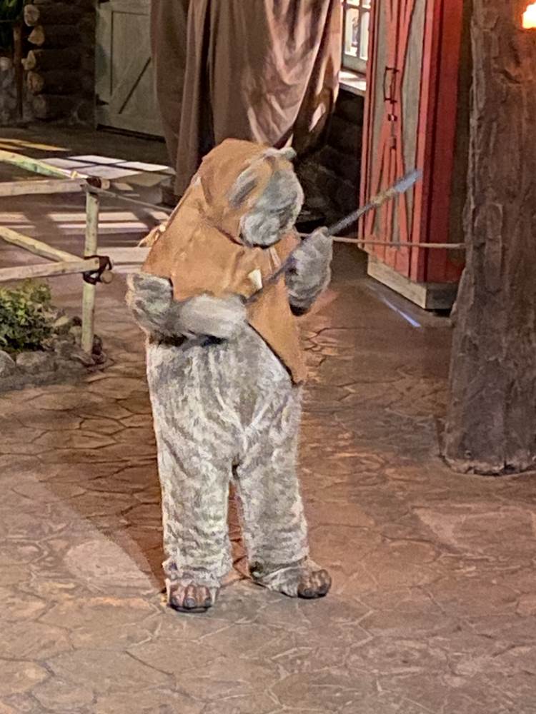 Photos/Videos: Disneyland After Dark: Star Wars Nite - LaughingPlace.com