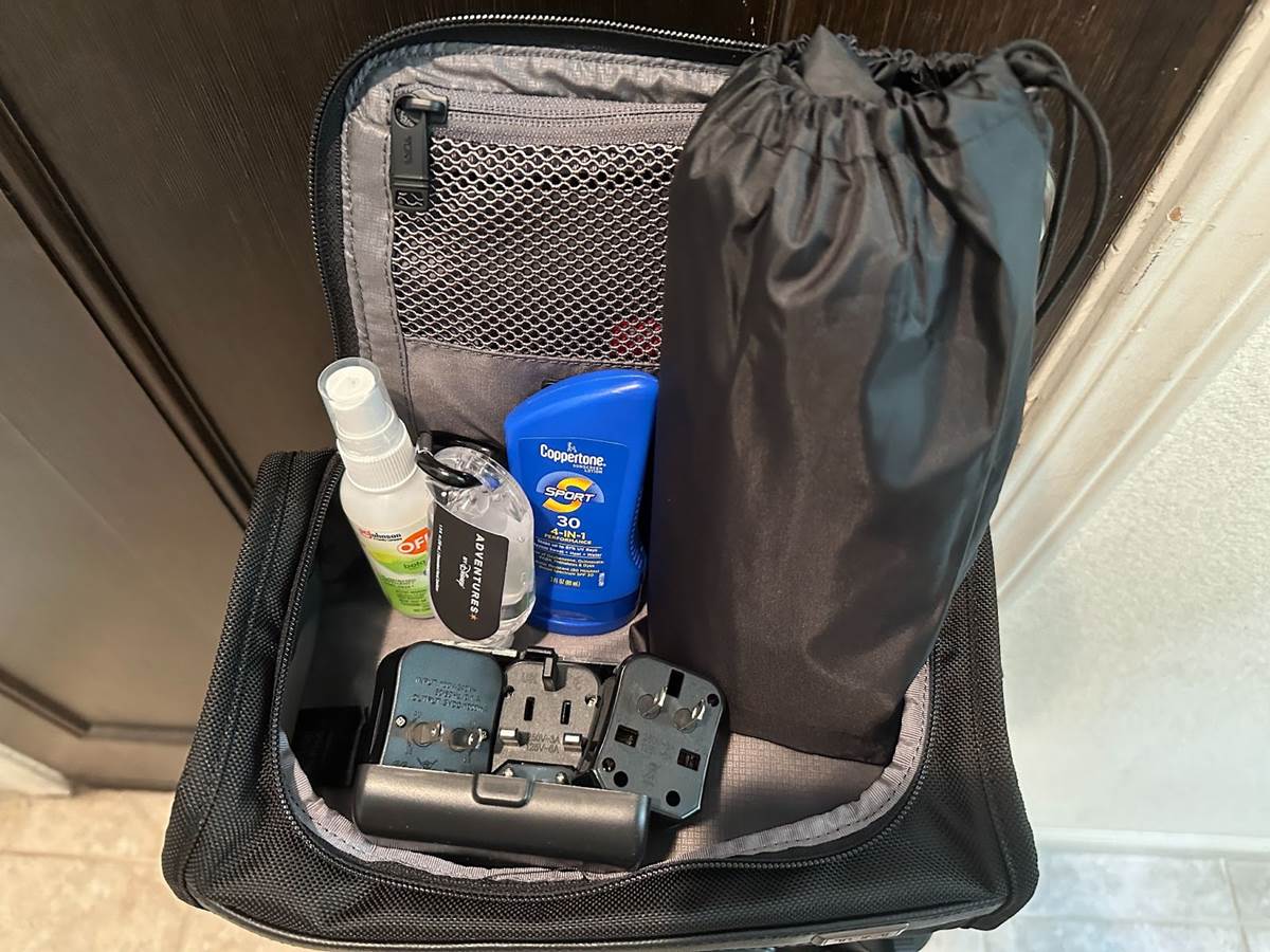 Pre-Trip Report: Disney Parks Around The World – A Private Jet ...