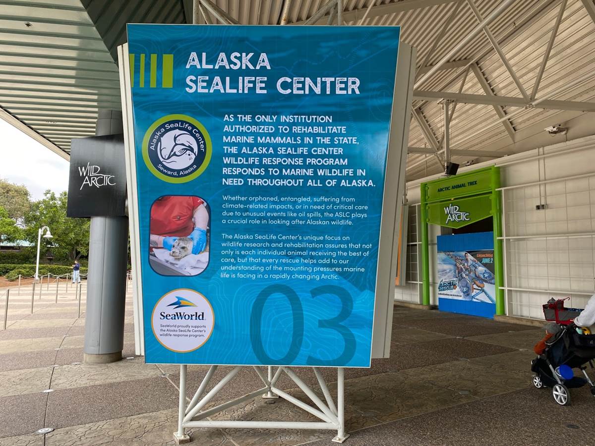 Photos / Videos: Blast Off on SeaWorld San Diego's New Arctic Rescue ...