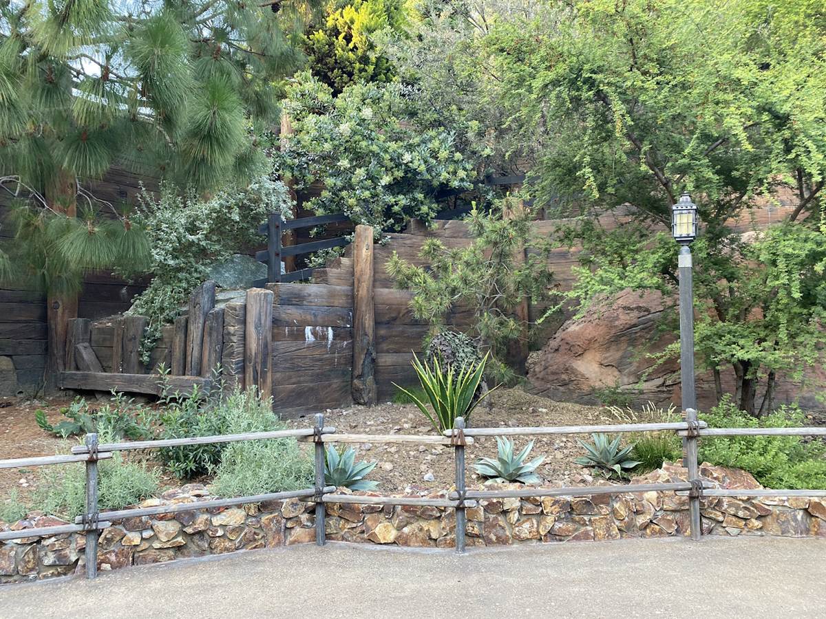 Photos: "WED" Stagecoach Returns to Frontierland at Disneyland ...