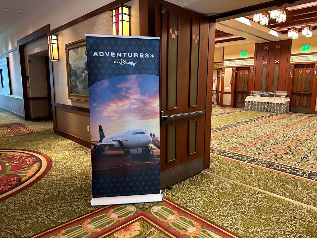 Trip Report: "Disney Parks Around The World – A Private Jet Adventure ...