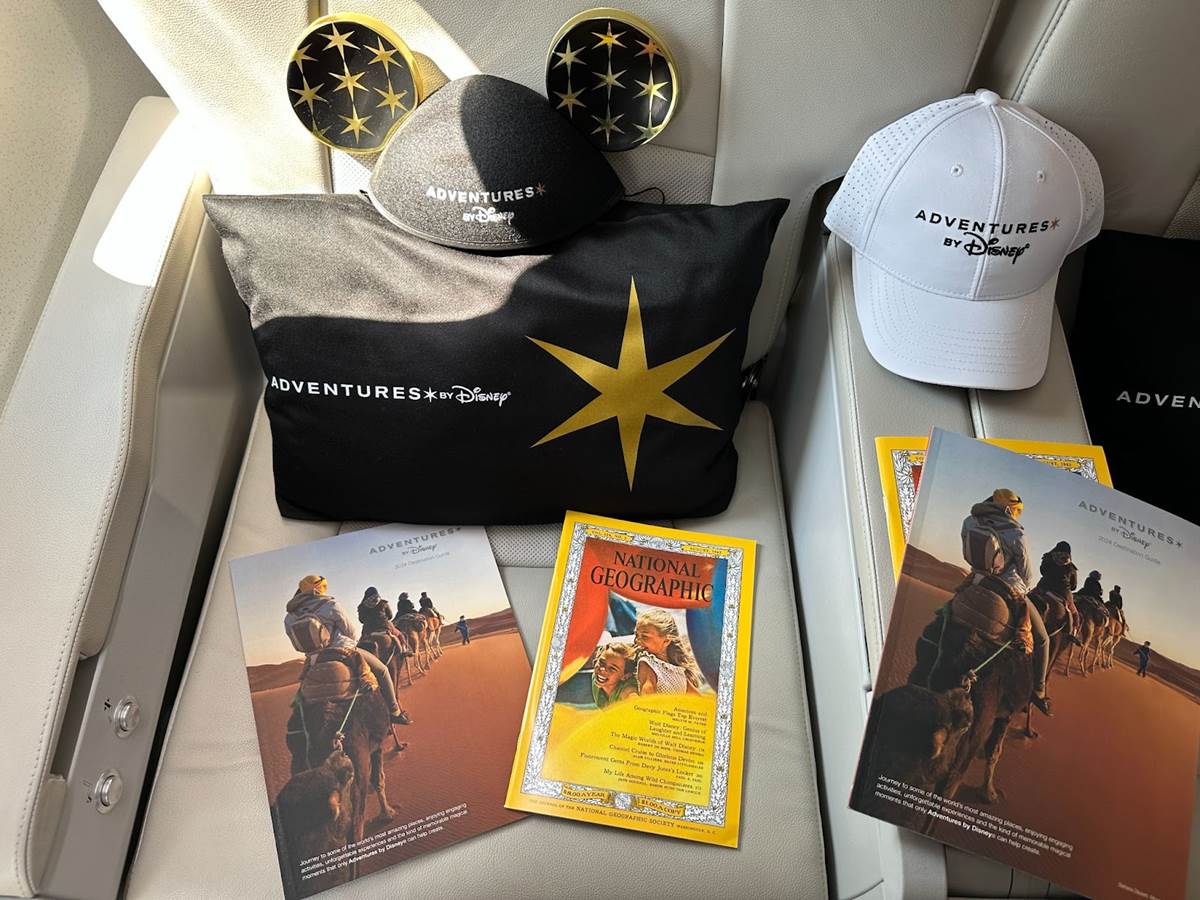 Trip Report: "Disney Parks Around The World – A Private Jet Adventure ...