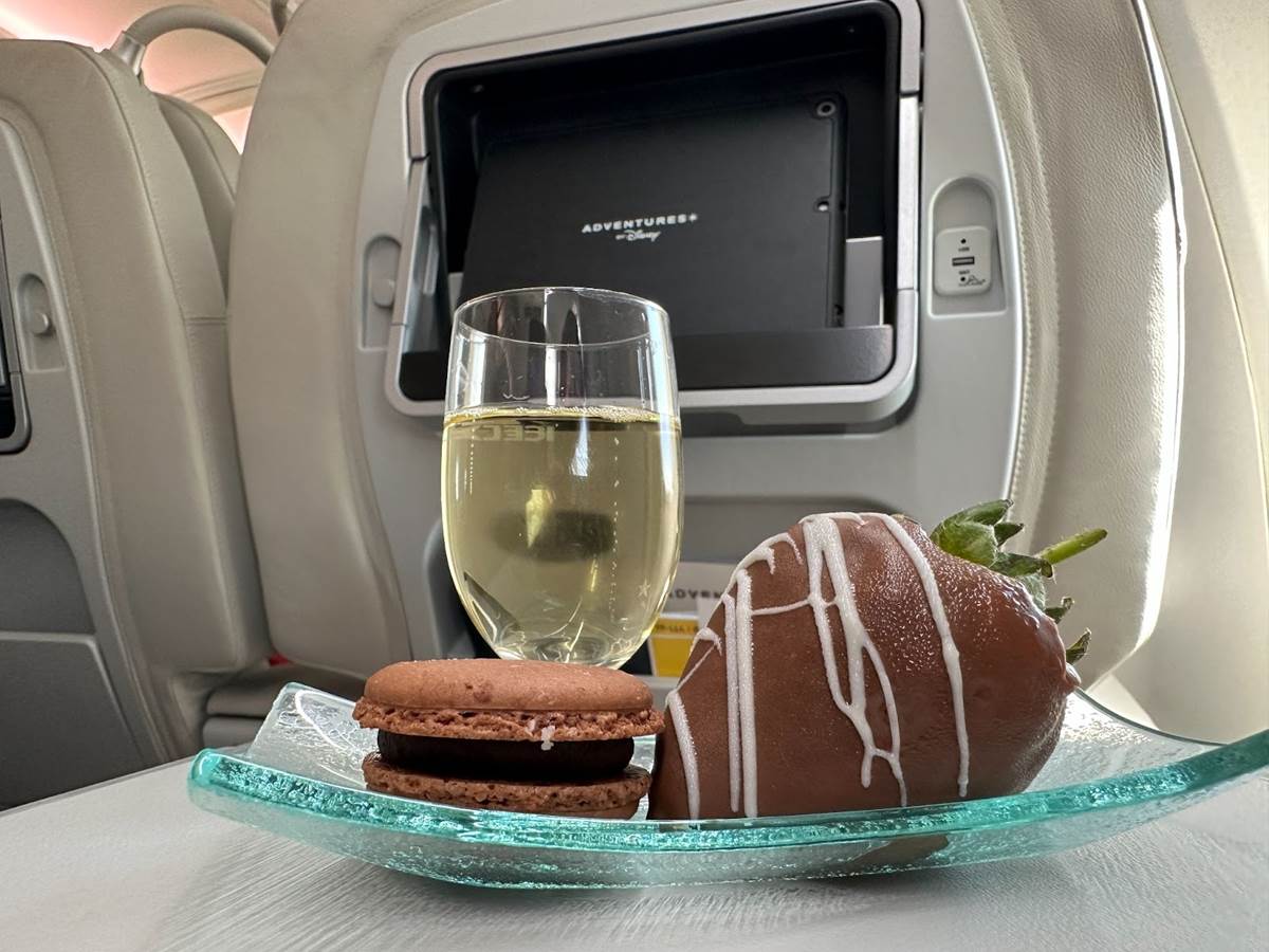 Trip Report: "Disney Parks Around The World – A Private Jet Adventure ...