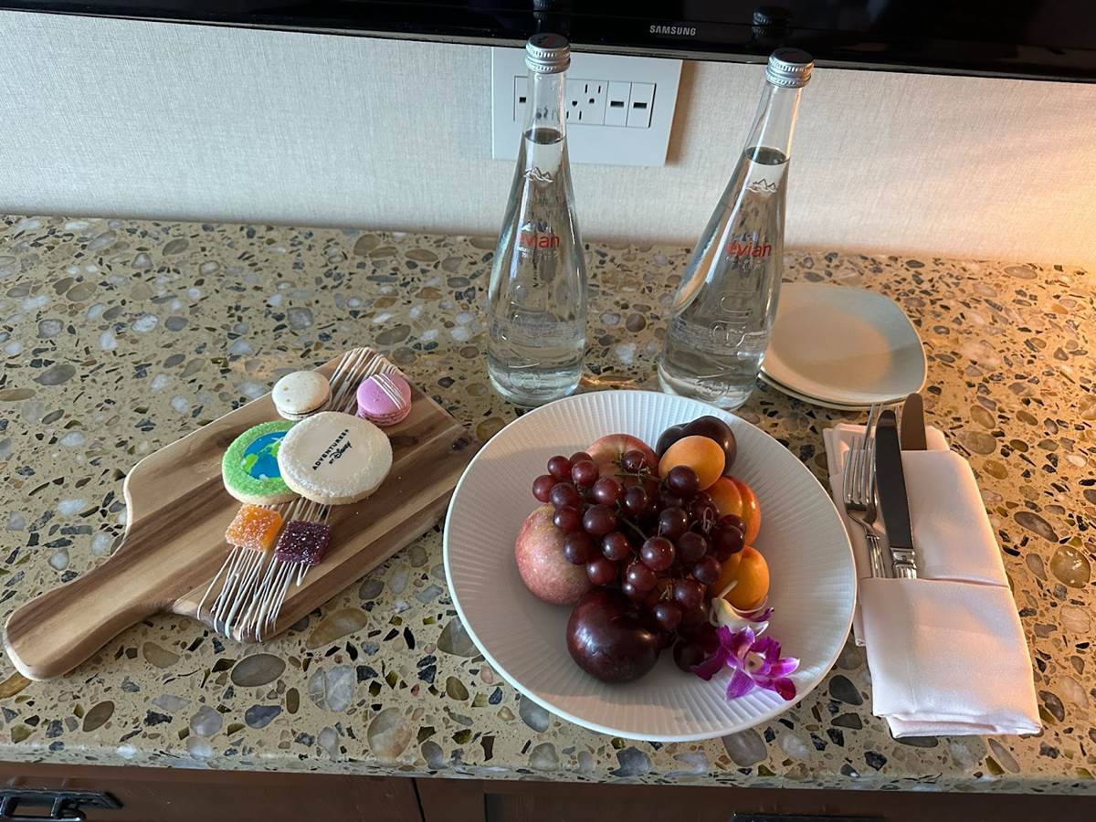 Trip Report: "Disney Parks Around The World – A Private Jet Adventure ...