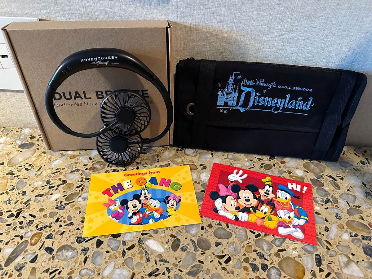 Trip Report: "Disney Parks Around The World – A Private Jet Adventure ...