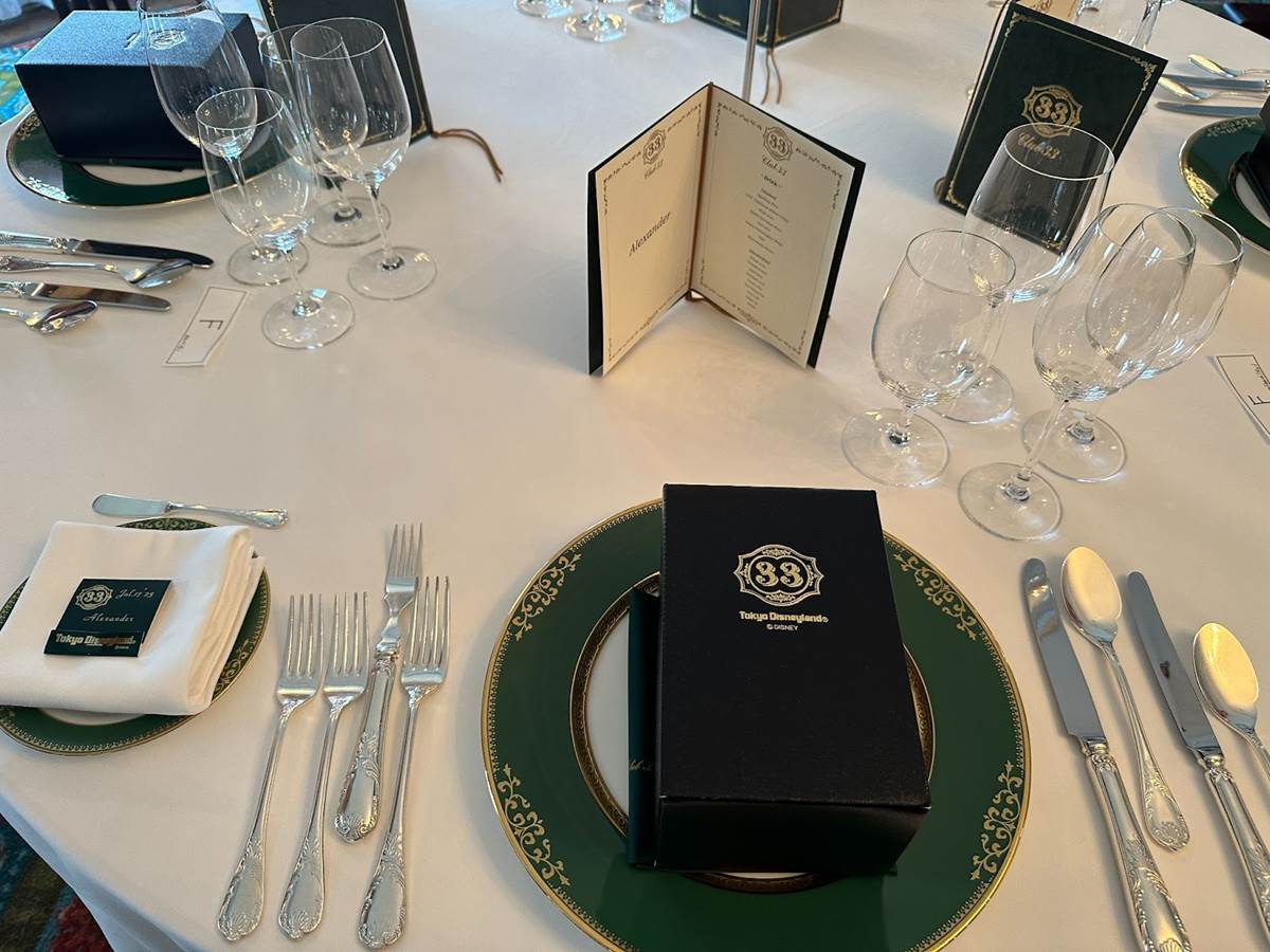 Trip Report: "Disney Parks Around The World – A Private Jet Adventure ...