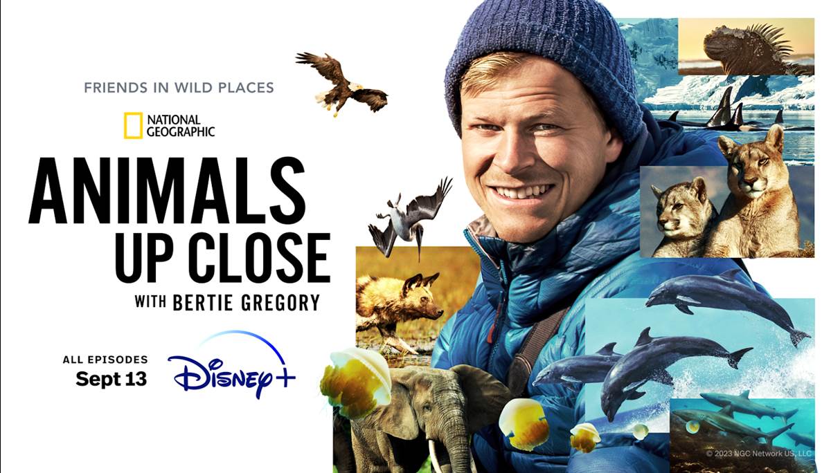Disney News | Animals Up Close With Bertie Gregory - LaughingPlace.com