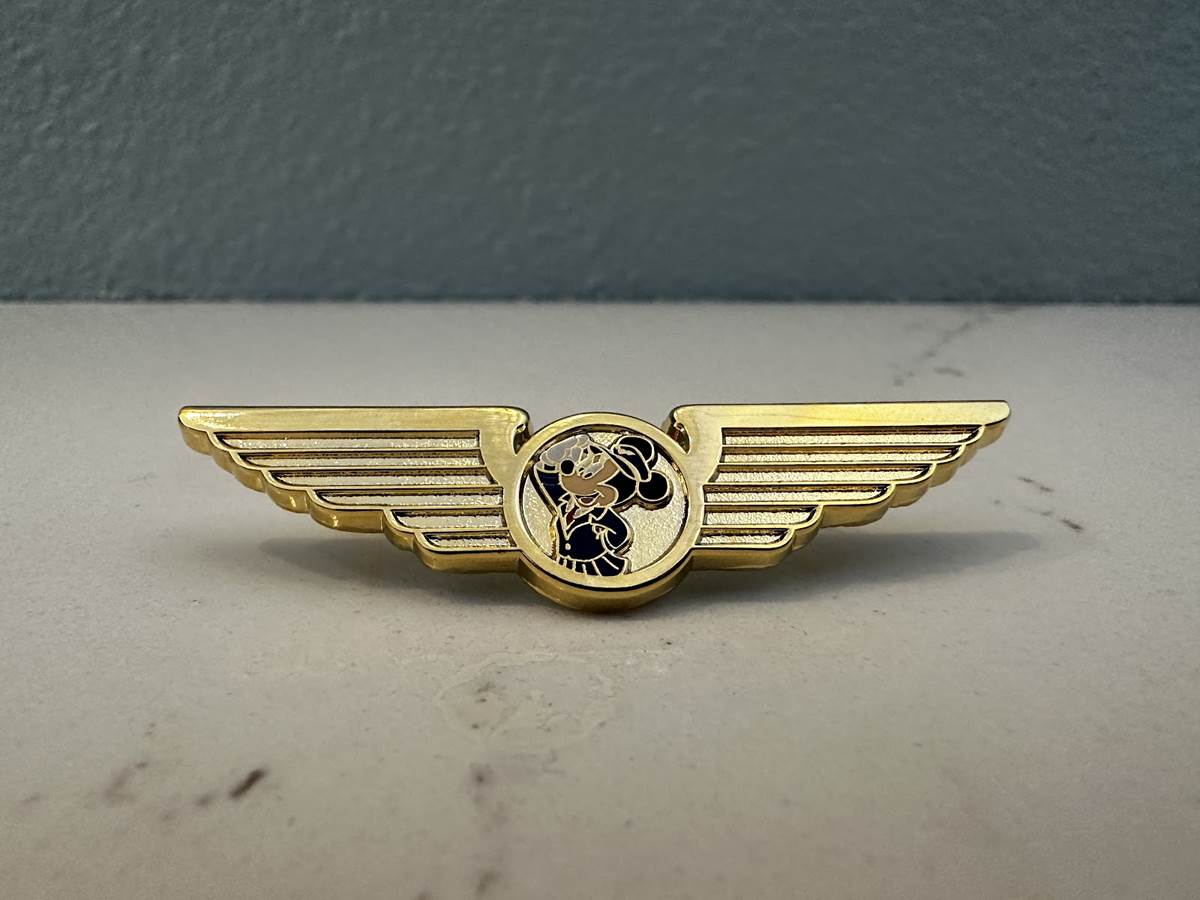 Trip Report: "Disney Parks Around The World – A Private Jet Adventure ...