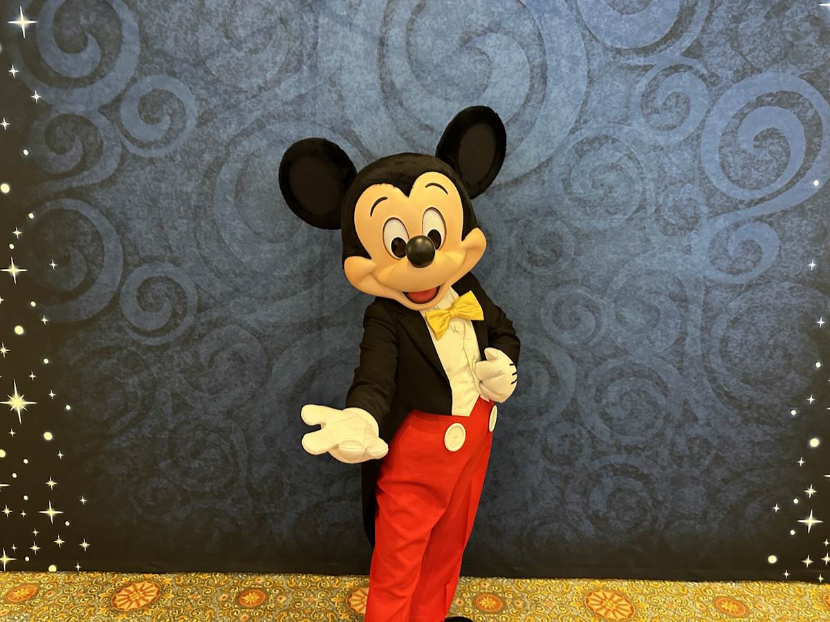 Trip Report: "Disney Parks Around The World – A Private Jet Adventure ...
