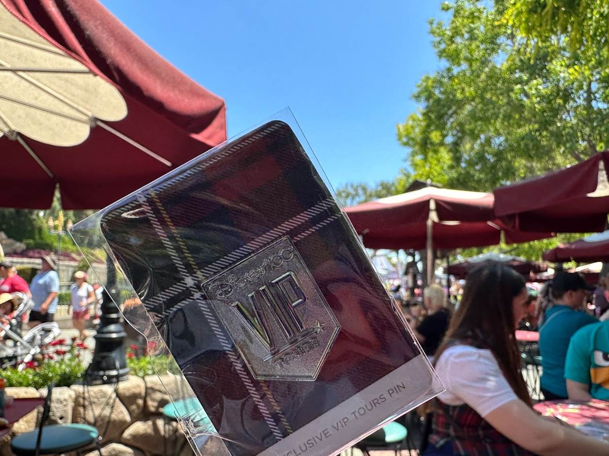 Trip Report: “Disney Parks Around The World – A Private Jet Adventure ...