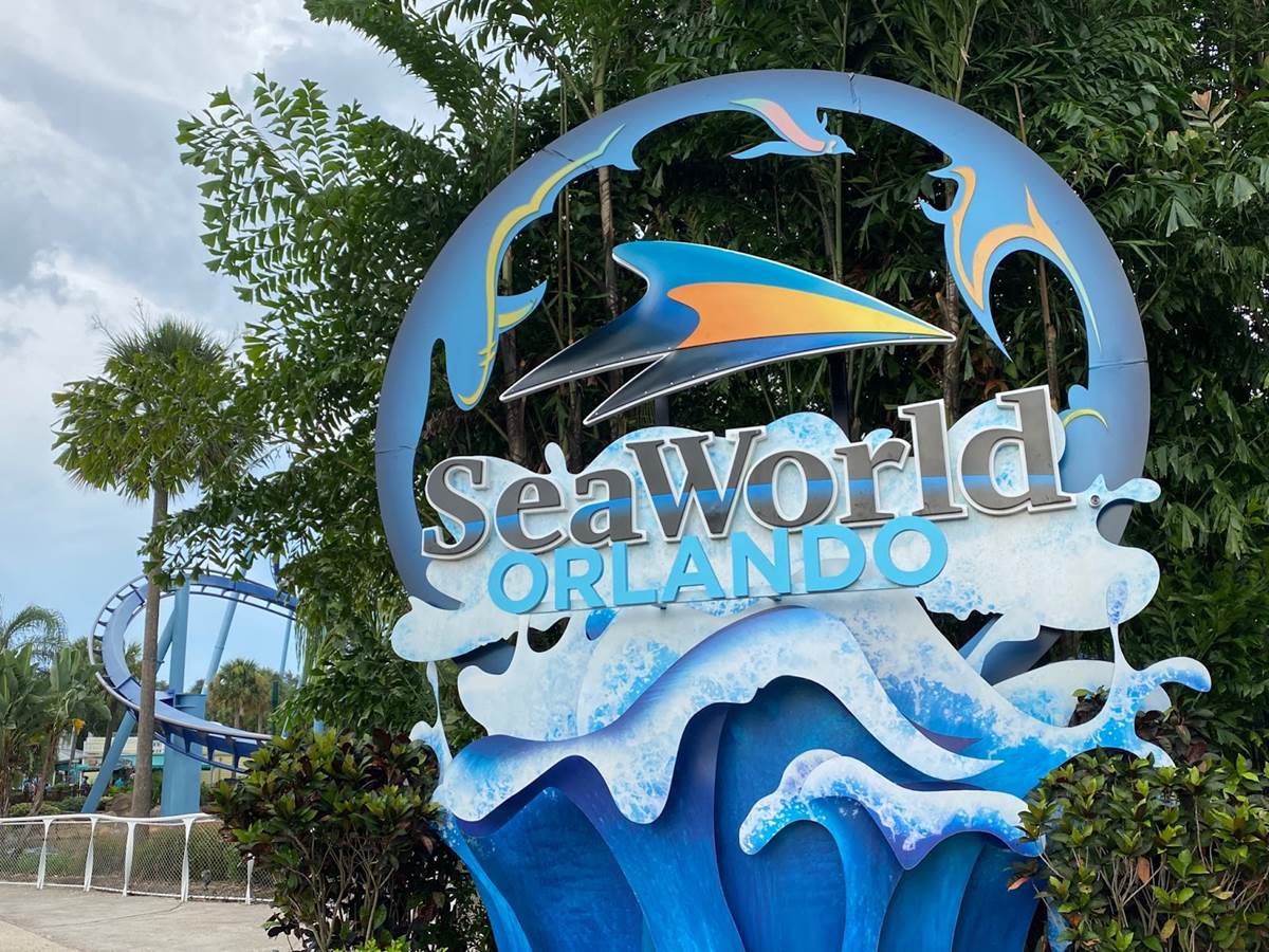 Pearl Divers Return to SeaWorld Orlando After Multiple Year Absence ...
